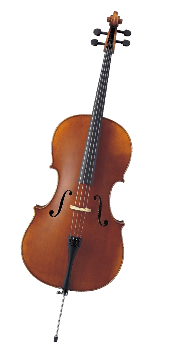 Instruments of the Orchestra - THE ORCHESTRA PLACE