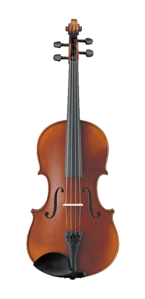 Instruments of the Orchestra - THE ORCHESTRA PLACE