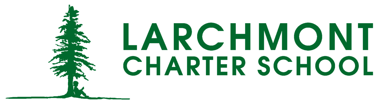 Larchmont Charter School- Selma - THE ORCHESTRA PLACE